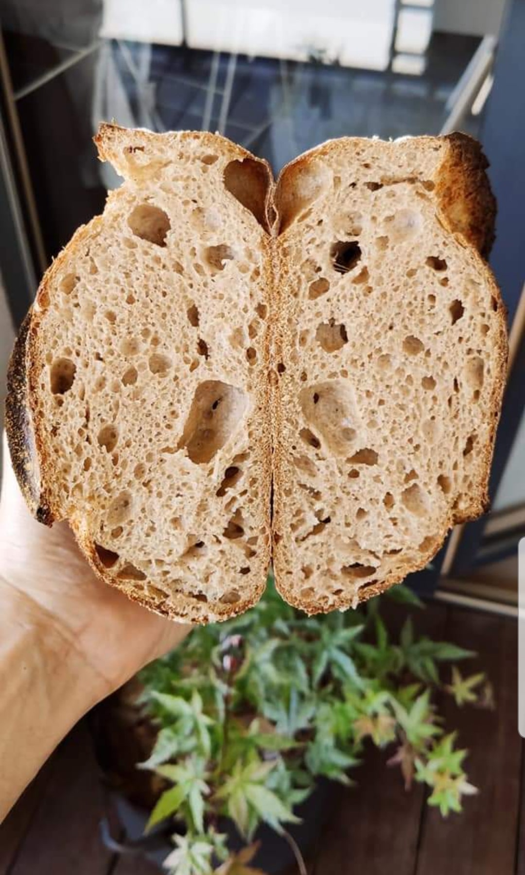 Farines pour les professionels de la panification - Moulins Carnat